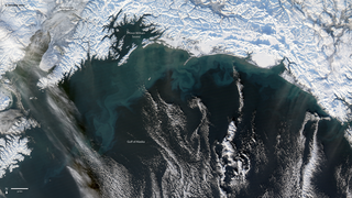 Terra | The EOS Flagship