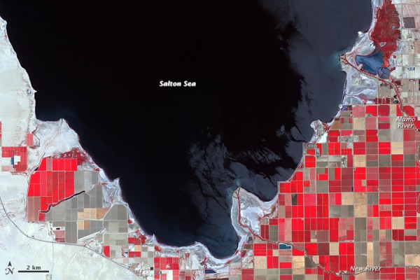 Shrinking Shoreline of the Salton Sea | Terra